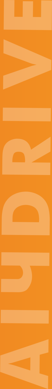 TC Vision - KeisuuGiken